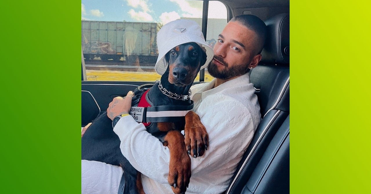 Las Mascotas de los famosos - A lo Bien Parce