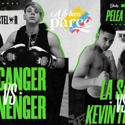 Stream Fighters 2: El Show de Lucha que Está Rompiendo Récords en ...