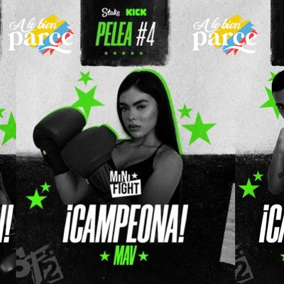 Resumen de Stream Fighters 2: El Éxito del Streaming y la Masividad en ...