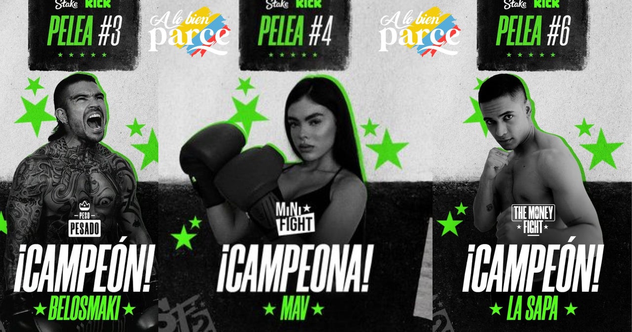 Resumen de Stream Fighters 2: El Éxito del Streaming y la Masividad en ...